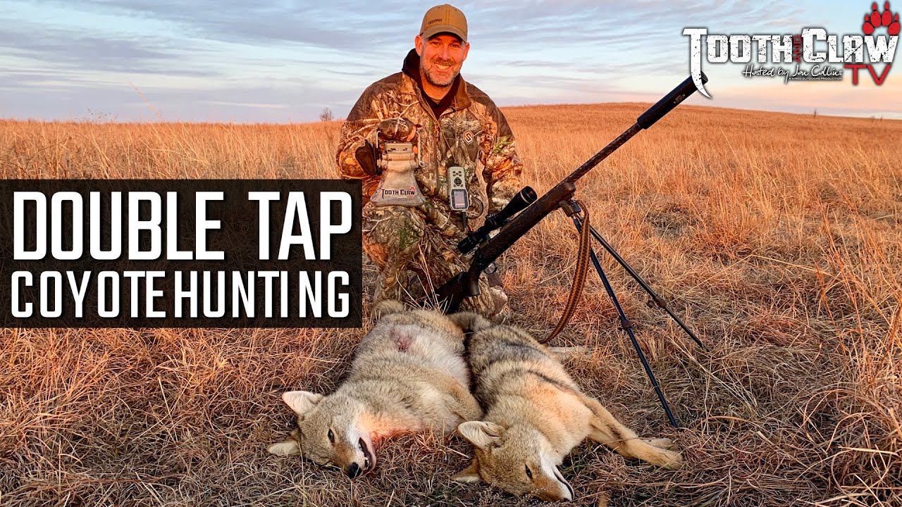 Double Tap - Coyote Hunting - YouTube