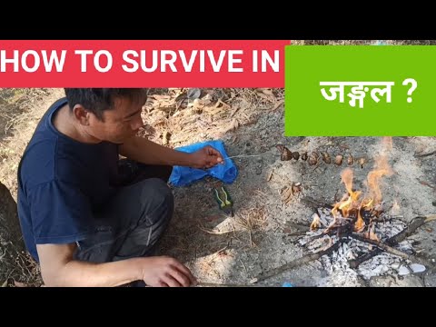 How to survive in jungle ? - YouTube