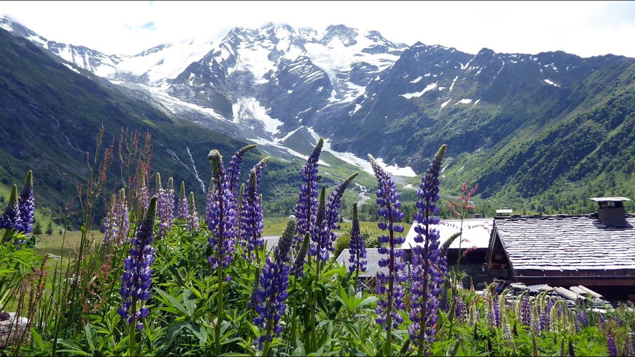 Col de Tricot (Massif du Mont-Blanc) 24/06/2018 - YouTube