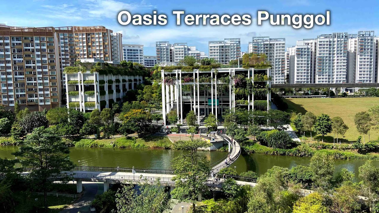 Singapore HDB Neighborhood Oasis Terraces at Punggol Walking Tour - YouTube