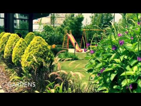 Osian LifeLands - NA Plot in Talegaon (Actual site walk through video ...