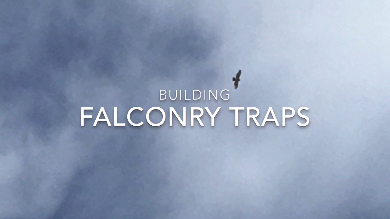 Building Falconry Traps - YouTube