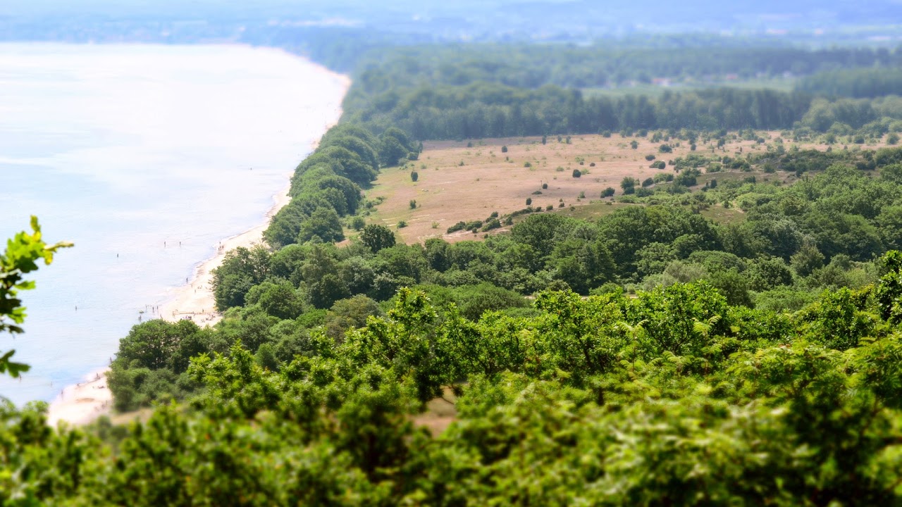 Tommy Hellberg Live Stream - YouTube