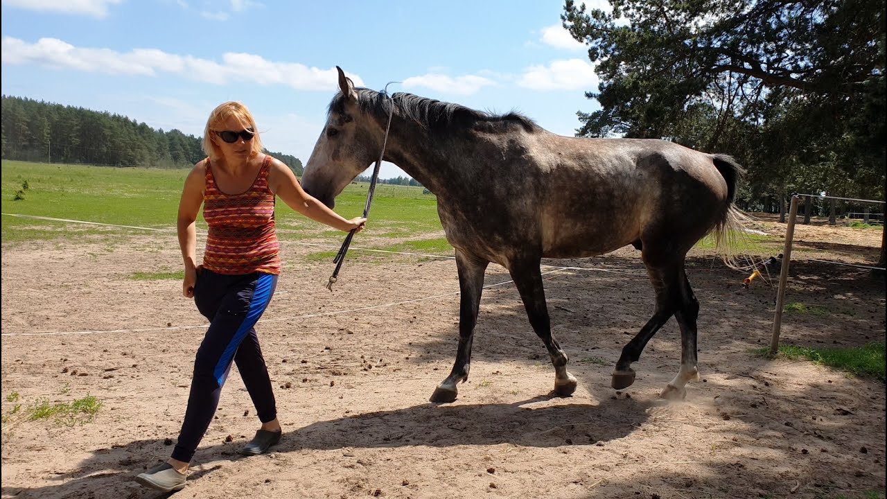 Izjādes ar zirgiem ''Agates" - YouTube