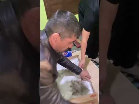 Ünal Baba | Etli Ekmek Yerken Panikten Kolayı Düşürüyor #shorts #ünalbaba