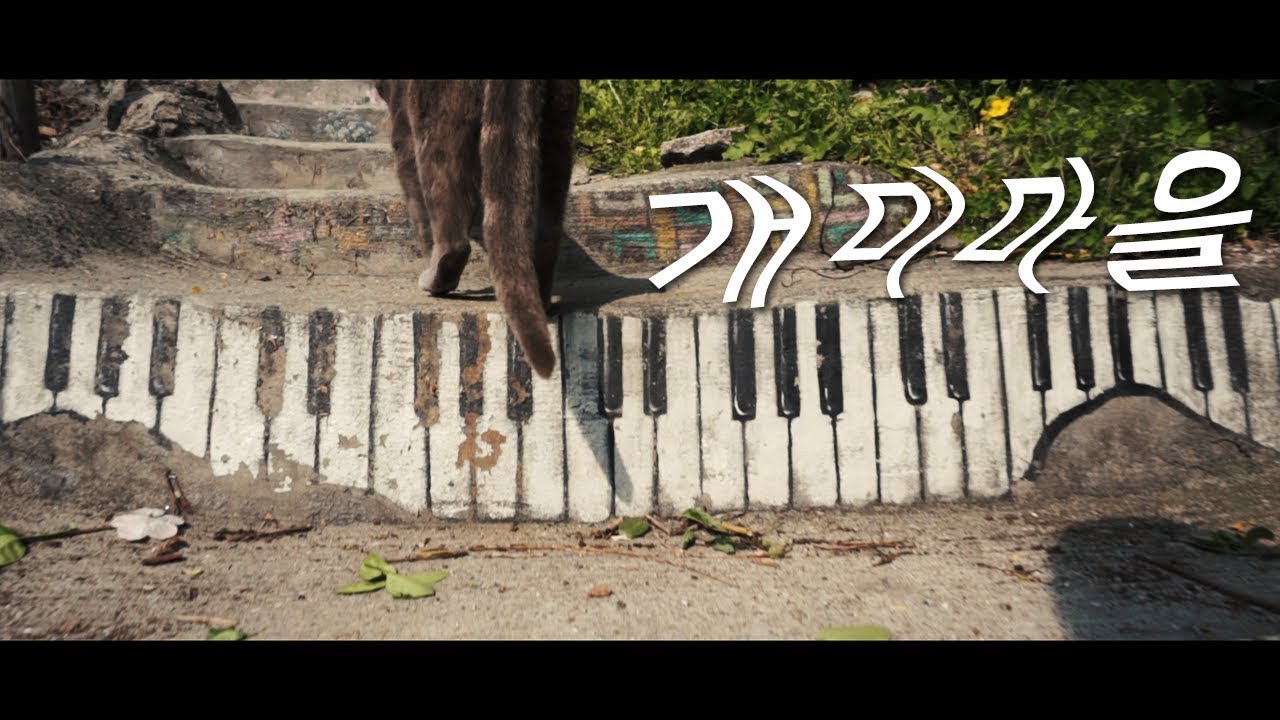 1분 30초 다큐멘터리 : 개미마을에 가다 Cinematic Dacumentary : To Ant village (Seoul ...