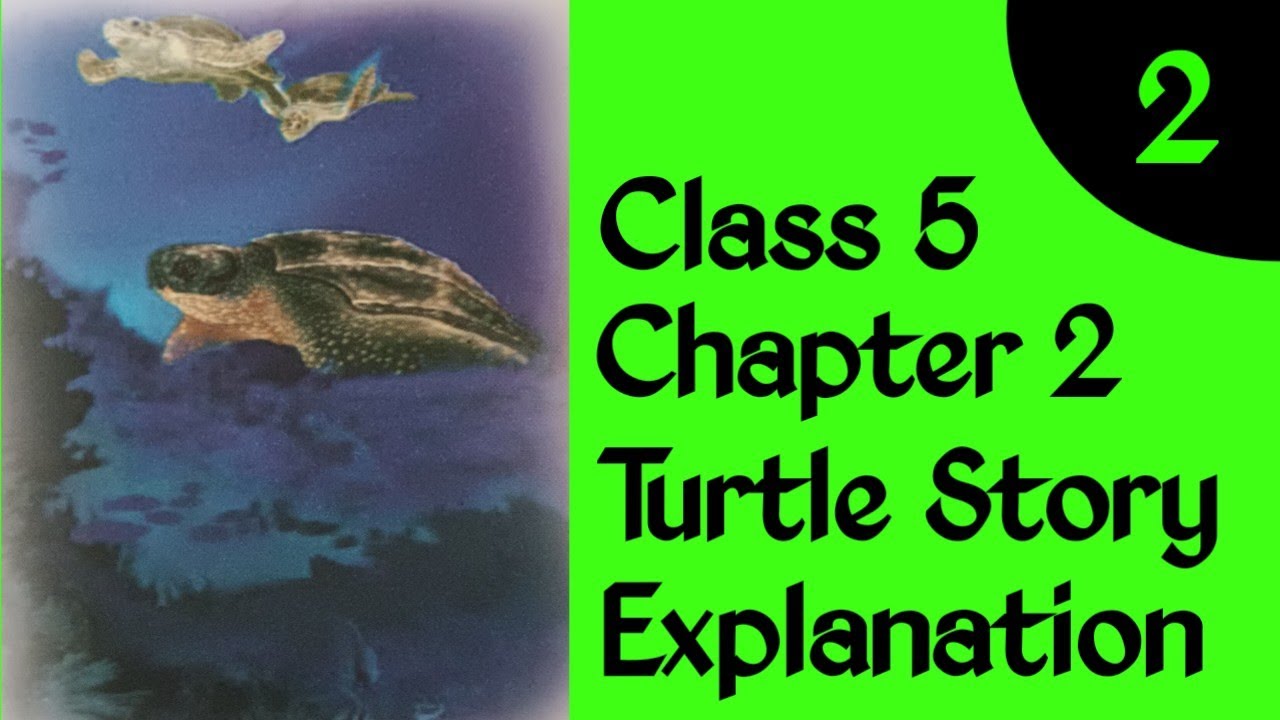 Class 5/Chapter 2/Turtle Story/Part 2/hindi explanation@englishmasti ...