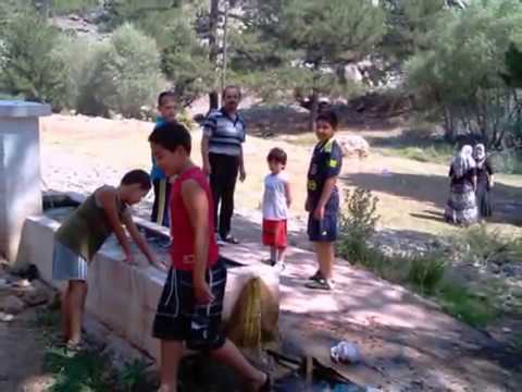 çay deresi Ahmet Sargin