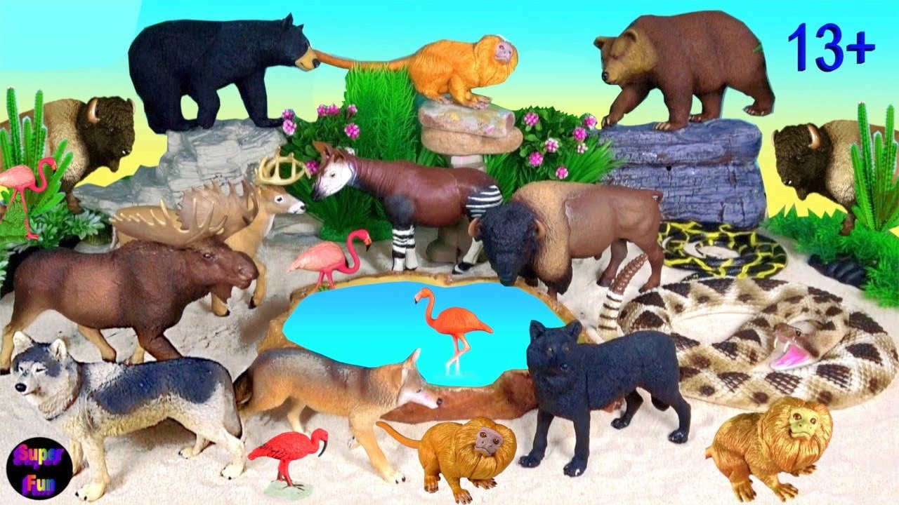 Wild Zoo Animals - Grizzly Bear Black Bear Bison Elk Deer Wolf Coyote ...