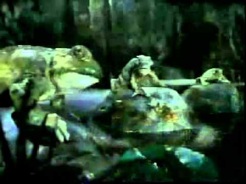 Budweiser Frogs Commercial Tongue Lashing - YouTube