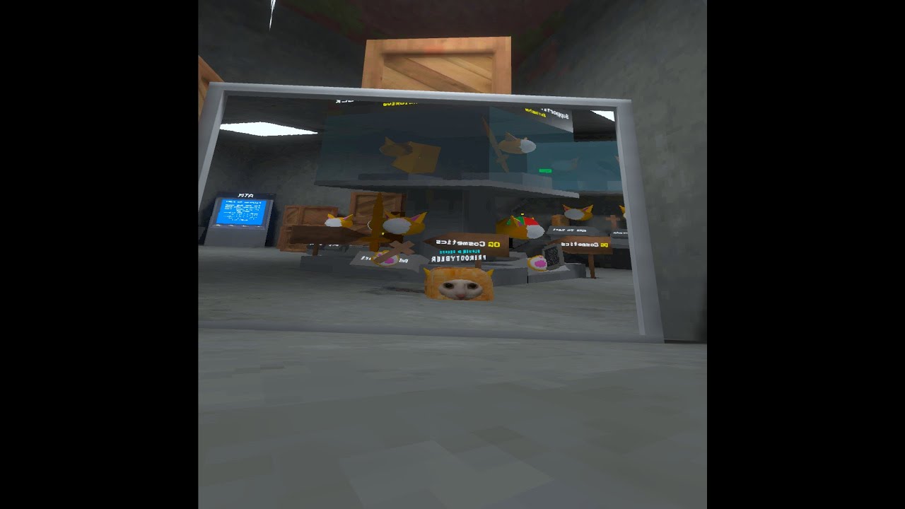 Playing catos vr #catos - YouTube
