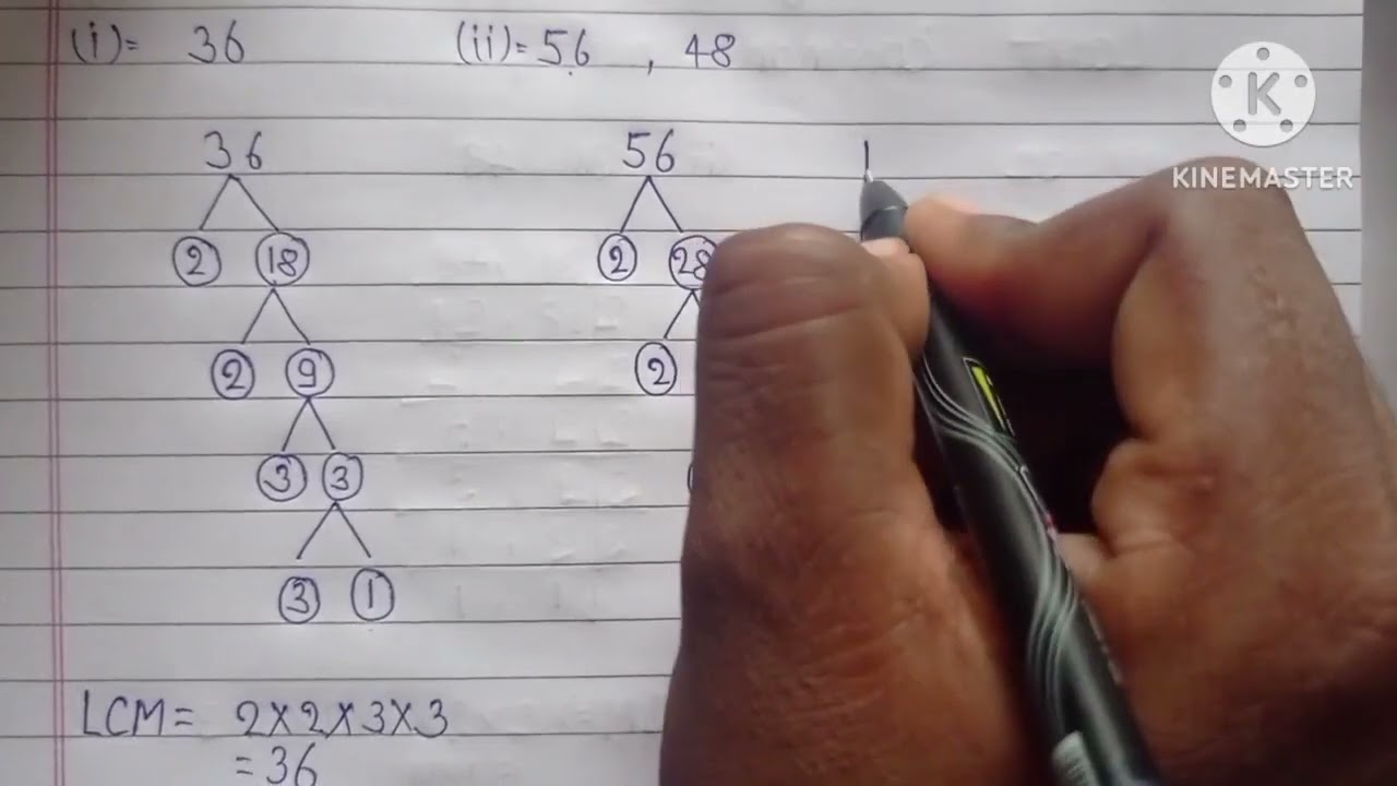 LCM By Factor Tree Method YouTube LCM By Factor Tree Method YouTube