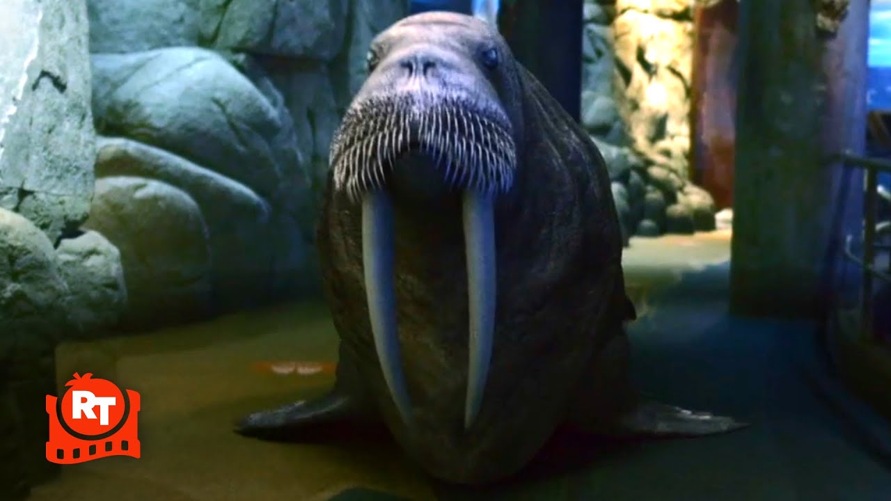 Aquarium of the Dead (2021) - HILARIOUS Zombie Walrus Attack Scene ...
