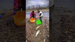 Qurbani Mubarak Special Fishing Part 59 #shorts #fishing #youtubeshorts
