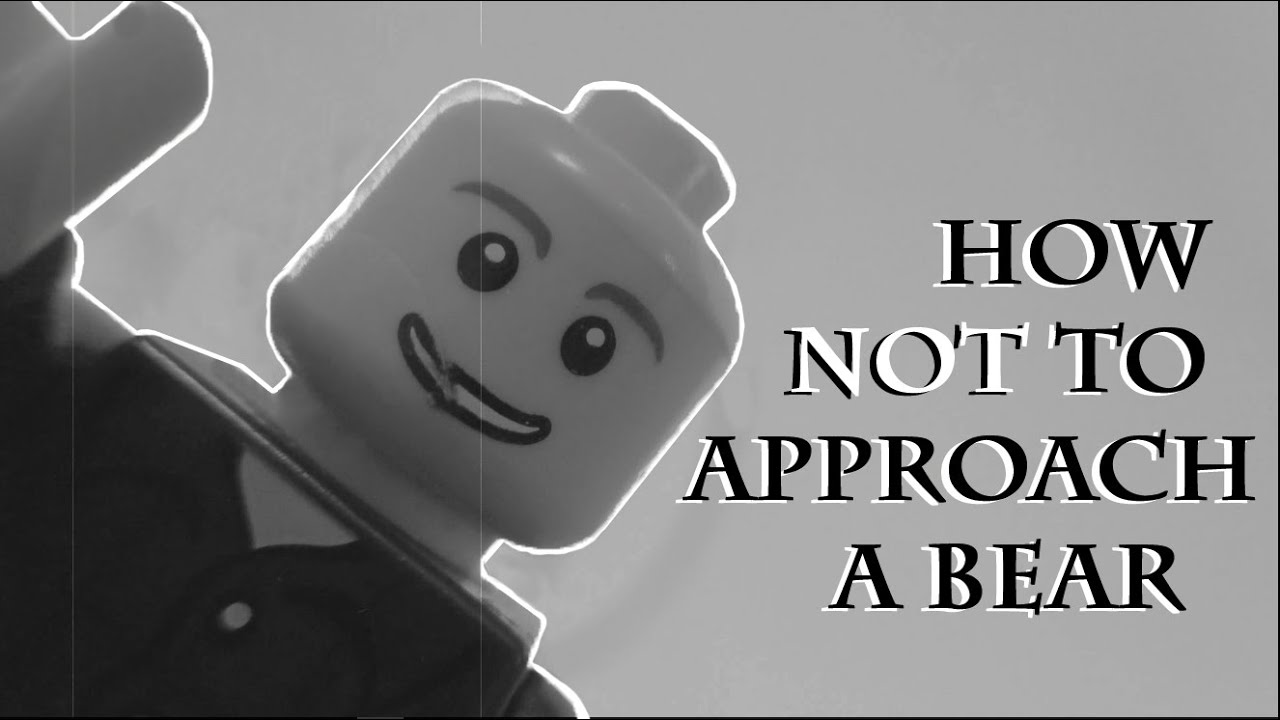 How Not To Approach A Bear - YouTube