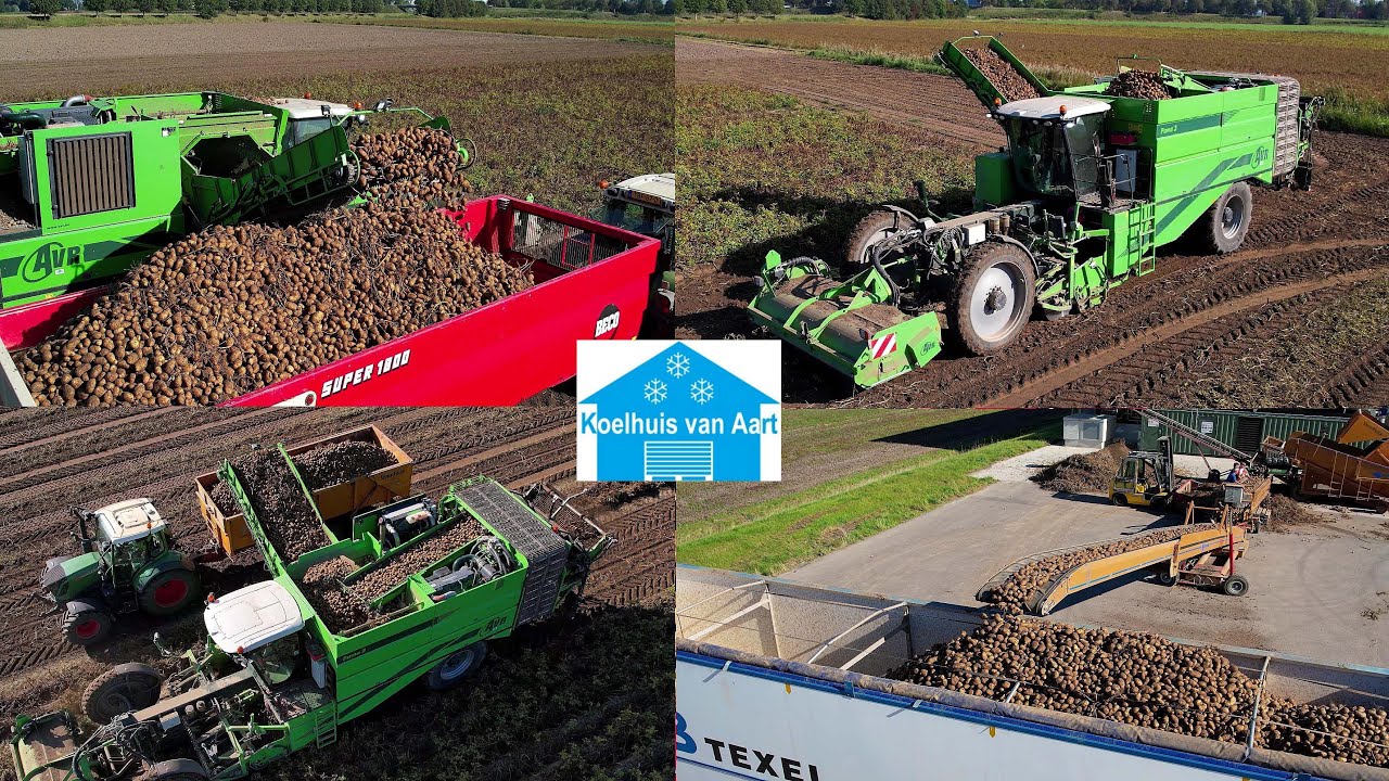 Aardappels rooien | Harvesting potatoes | Kartoffelernte | AVR Puma ...