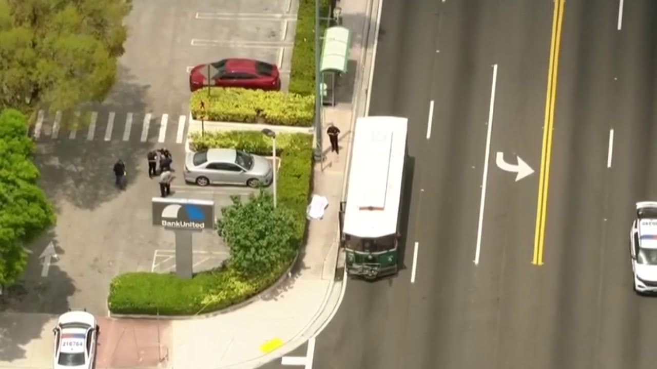 Man struck, killed by city of Miami trolley - YouTube