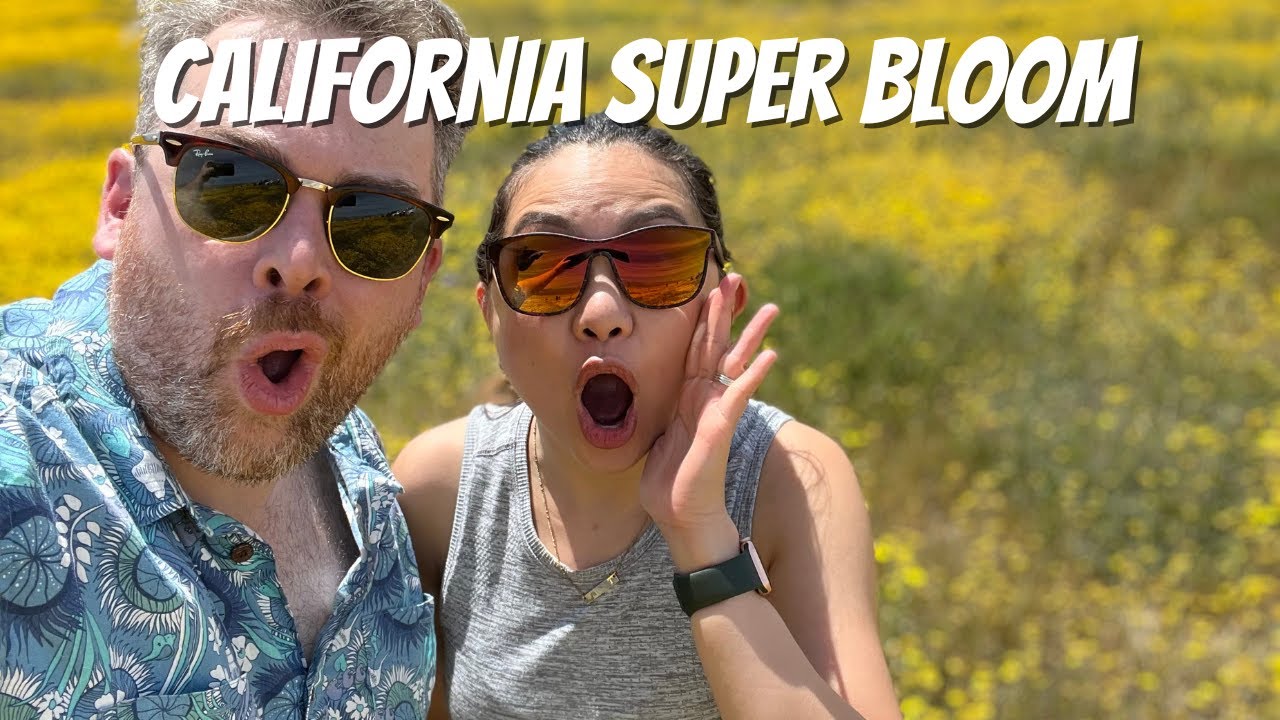 How to See California's Super Bloom Before it Disappears 2023 | Carrizo ...