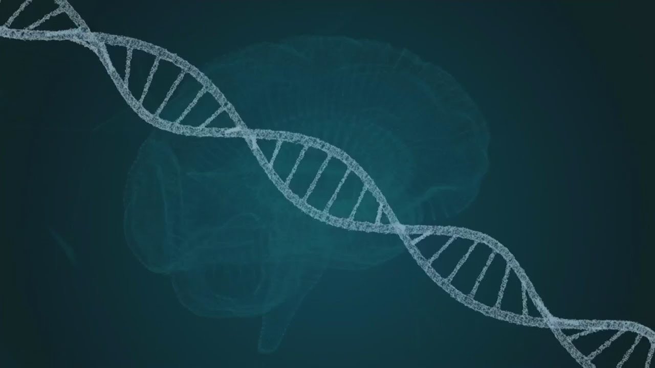 HealthWatch: Alzheimer’s and DNA Shuffling - YouTube