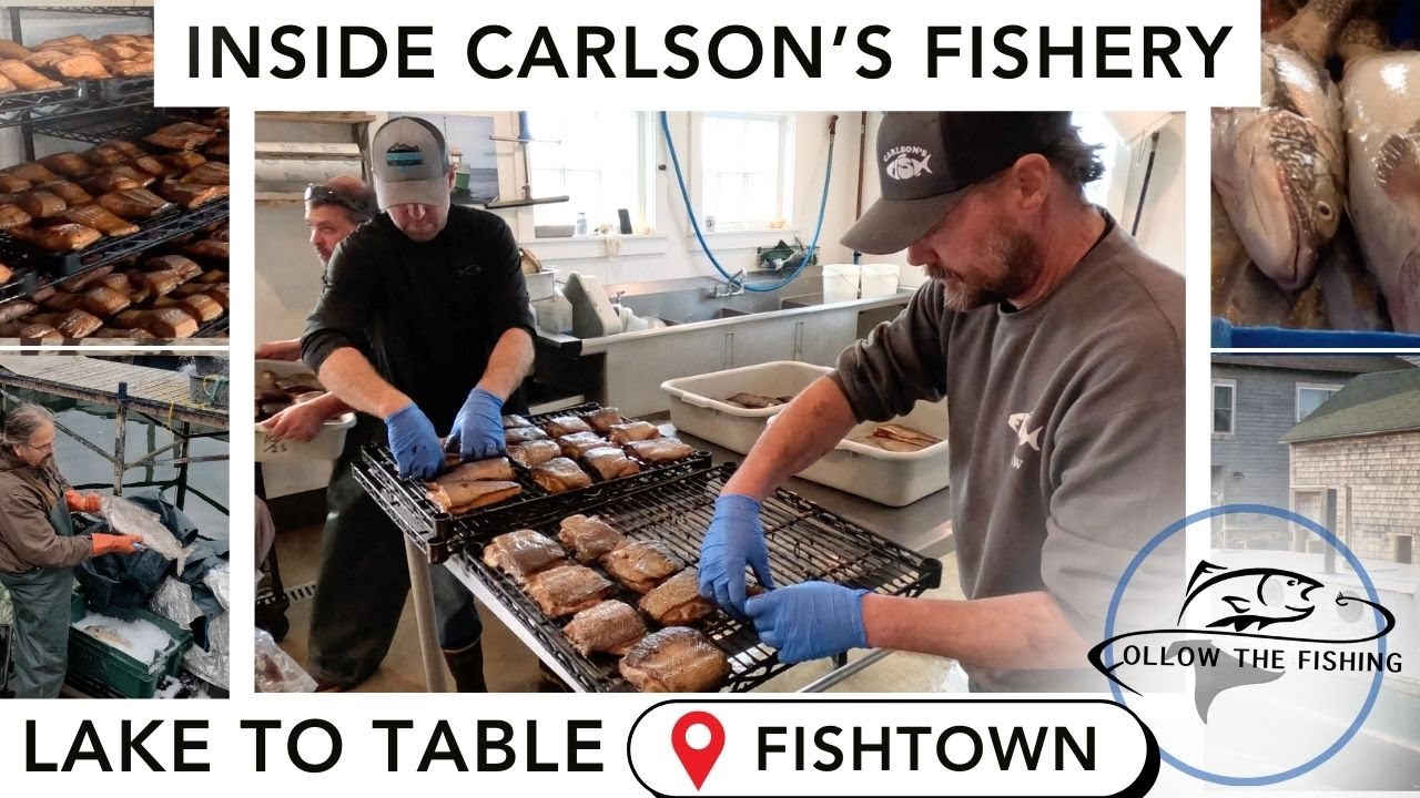 Behind the Scenes at Historic Carlson’s Fishery | Fishtown | Leland, MI ...