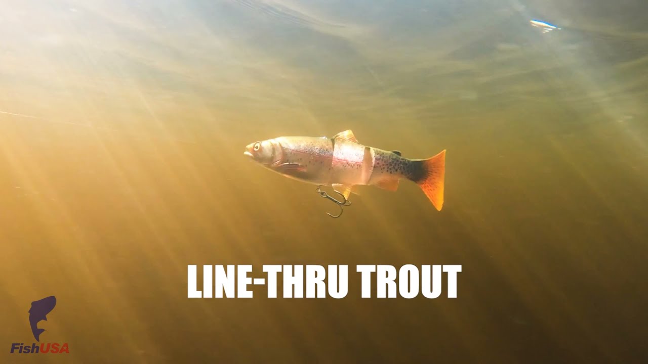 Savage Gear 3D Line Thru Trout Swimbait Video - YouTube