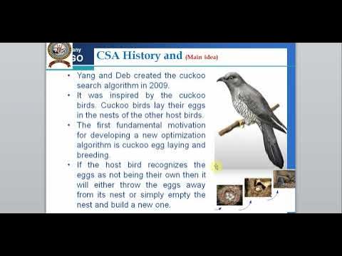 CSA: Cuckoo Search Algorithm - YouTube