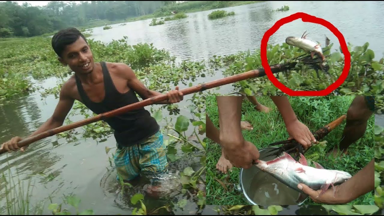 New System Fish Catching - Primitive Technology Fish Catching - YouTube