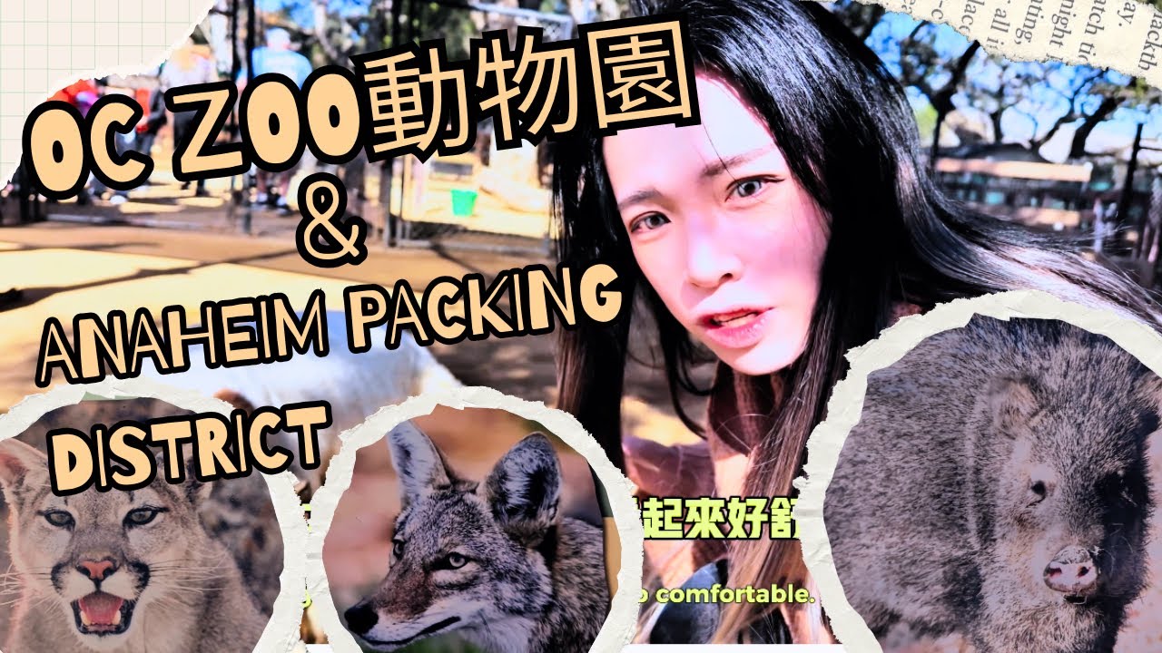 【橙縣Orange】OC ZOO動物園& Anaheim Packing District 一日遊｜救護動物#losangeles # ...