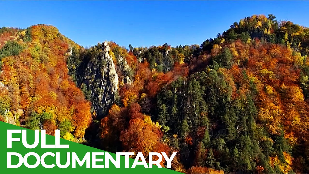 Wild Carpathia | Episode 4: Seasons of Change | Free Documentary Nature ...