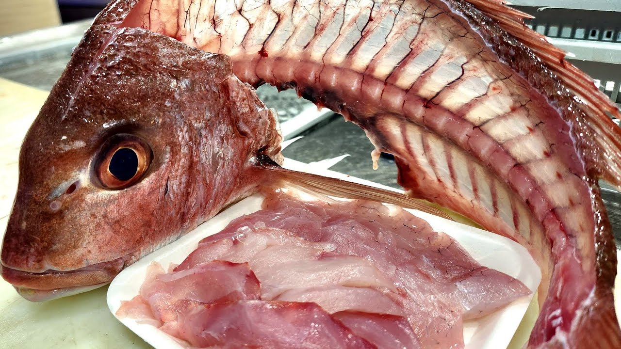 SNAPPER SASHIMI | How to fillet a snapper and cut into sashimi | NEW ...