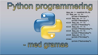 Python programmering svenska - YouTube