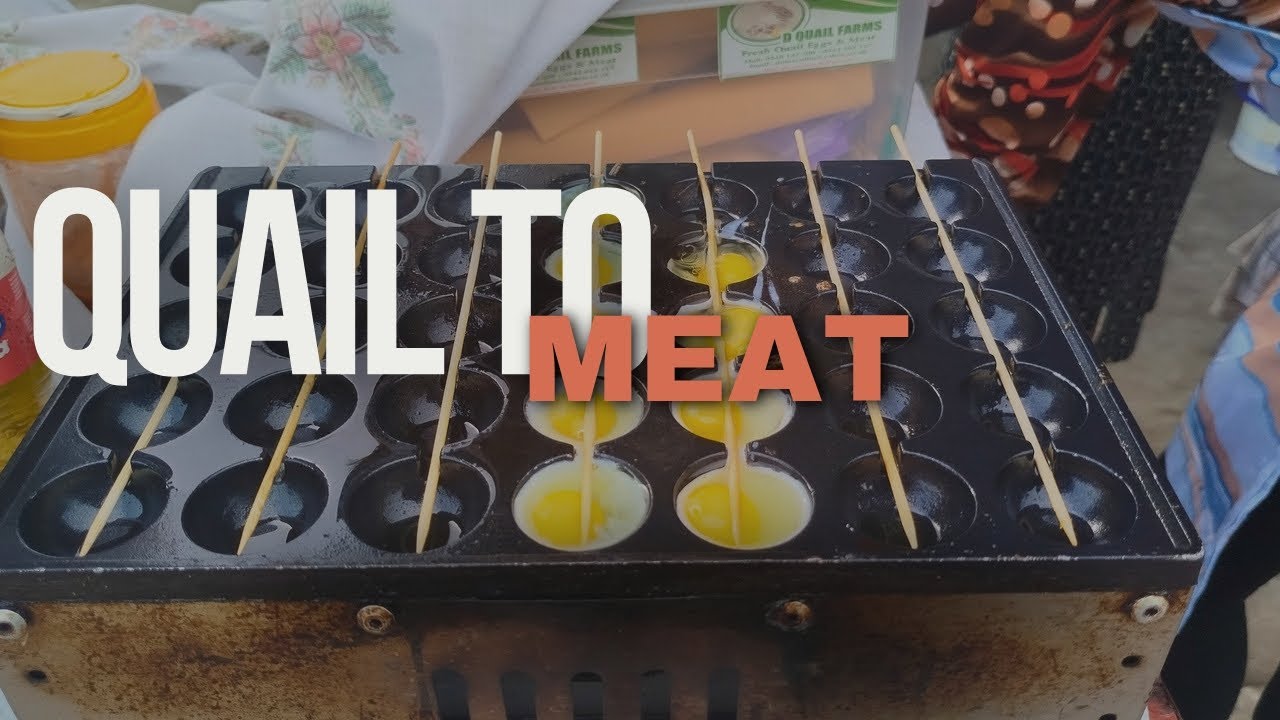 Lifespan of Quail from Chicks to the Table in Ghana - YouTube