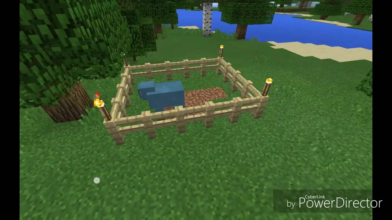 Intro to Cyan Sheep - YouTube