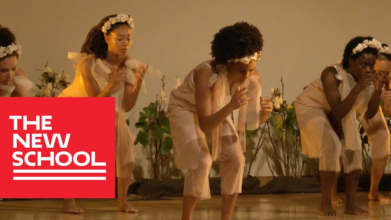 The Cotton Series, Presented by 400 Years of Inequality | The New ...