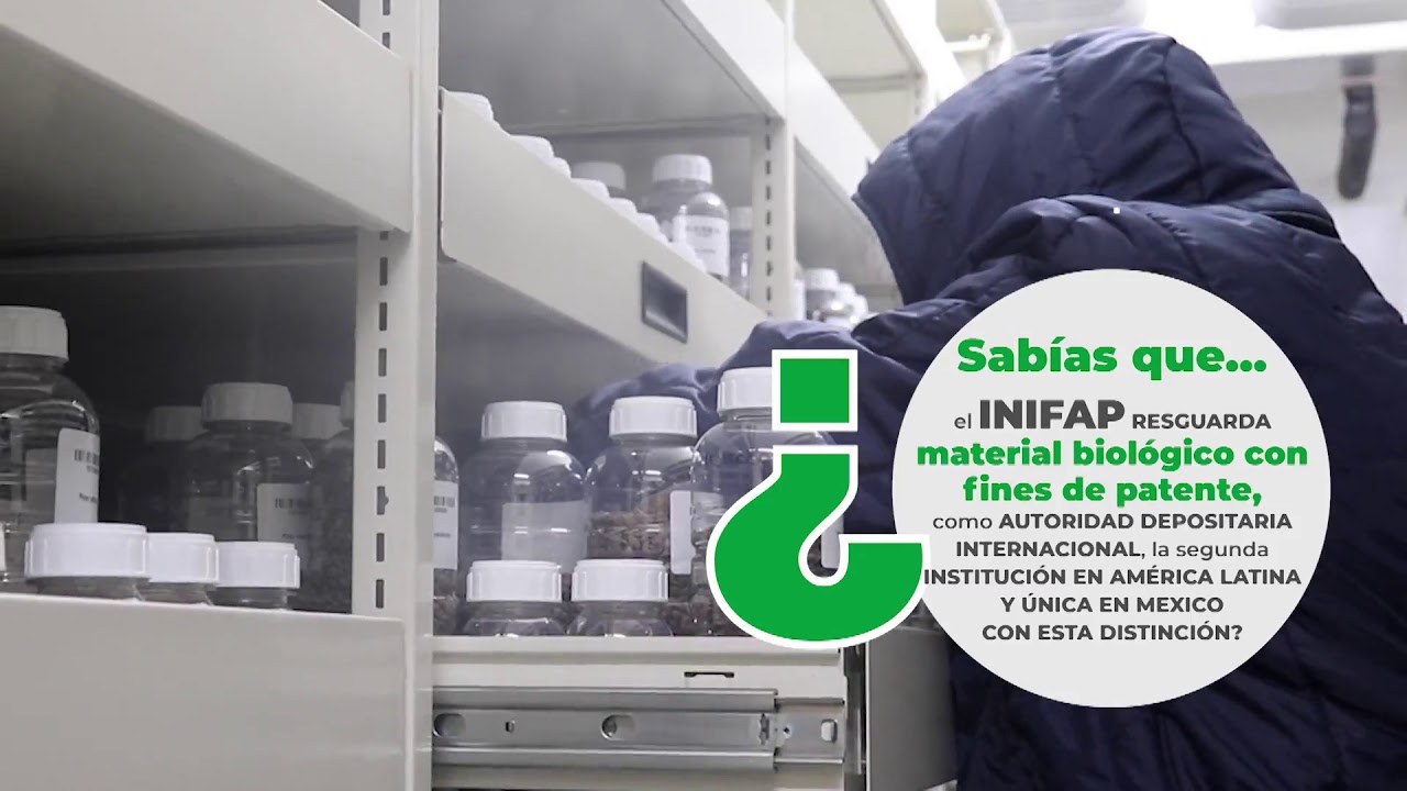 Material biológico - YouTube