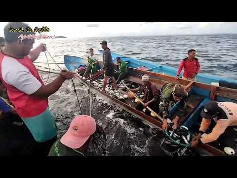 PANEN IKAN MOMAR DI BULAN PUASA BANDA NEIRA MEMANG MANTAP - YouTube
