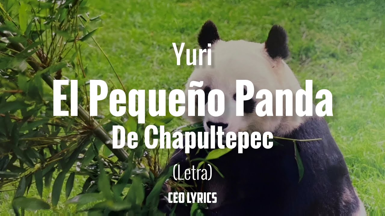 Yuri - El Pequeño Panda De Chapultepec (Letra) [Homenaje a Tohui 🐼 ...