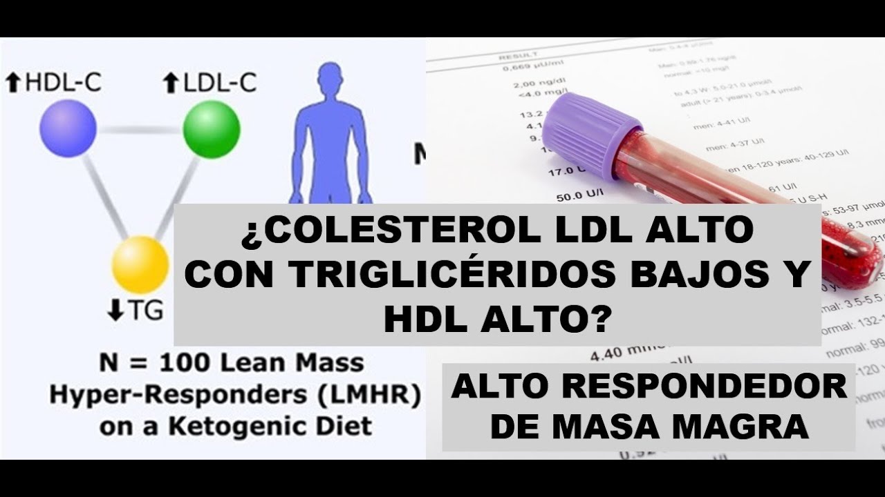 Colesterol LDL alto con Triglicéridos bajos y HDL alto? LEAN MASS HYPER ...
