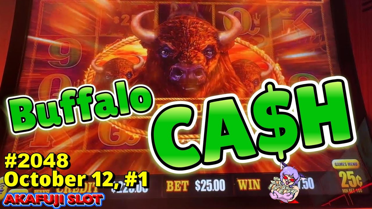 Big Win on Free Play Buffalo Cash Slot Machine at Pala Casino - YouTube