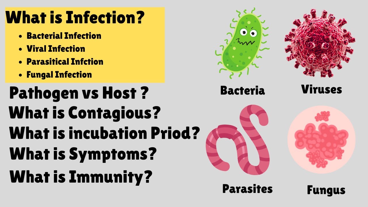 What is an infection I Infection kya hota hai I Bacterial vs Viral ...