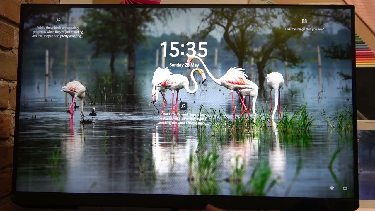 How To Change Response Time Mode on Samsung Odyssey G3? - YouTube