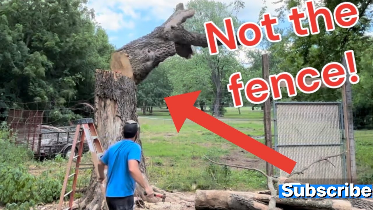 I got setup! Here’s what happened! - YouTube