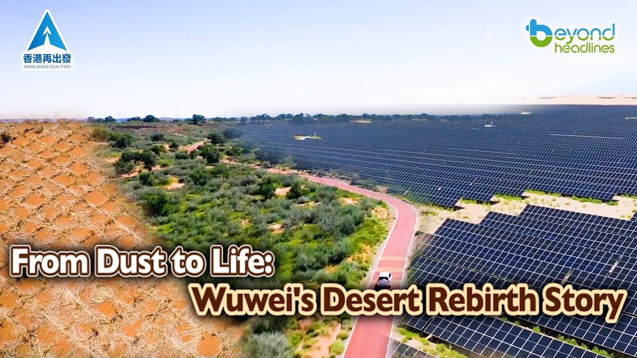 From Dust to Life: Wuwei's Desert Rebirth Story - YouTube
