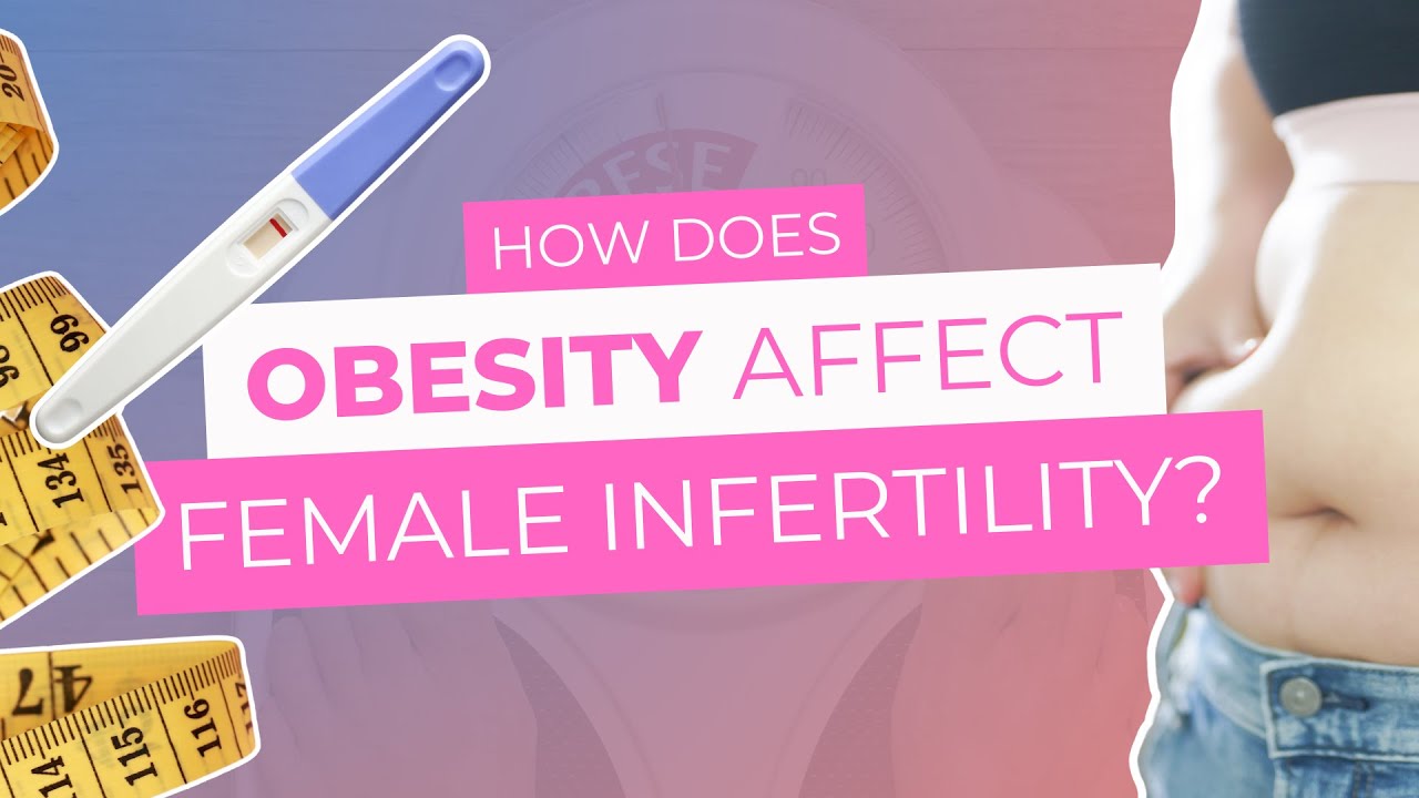 How does obesity affect female infertility - YouTube