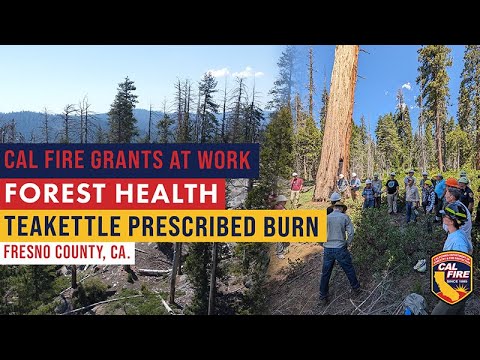 CAL FIRE Forest Health Grants at Work: Teakettle Prescribed Fire ...