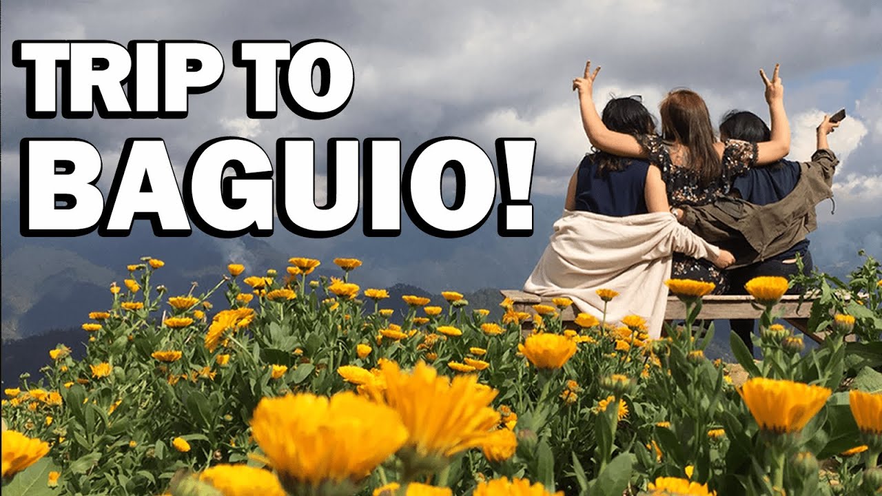 TRIP TO BAGUIO feat Benguet's Sunflower Farm and Northern Blossom ...