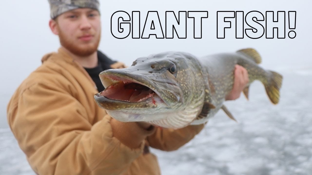 SPEARING Northern Pike on THIN ICE!!! (CATCH CLEAN COOK) - YouTube