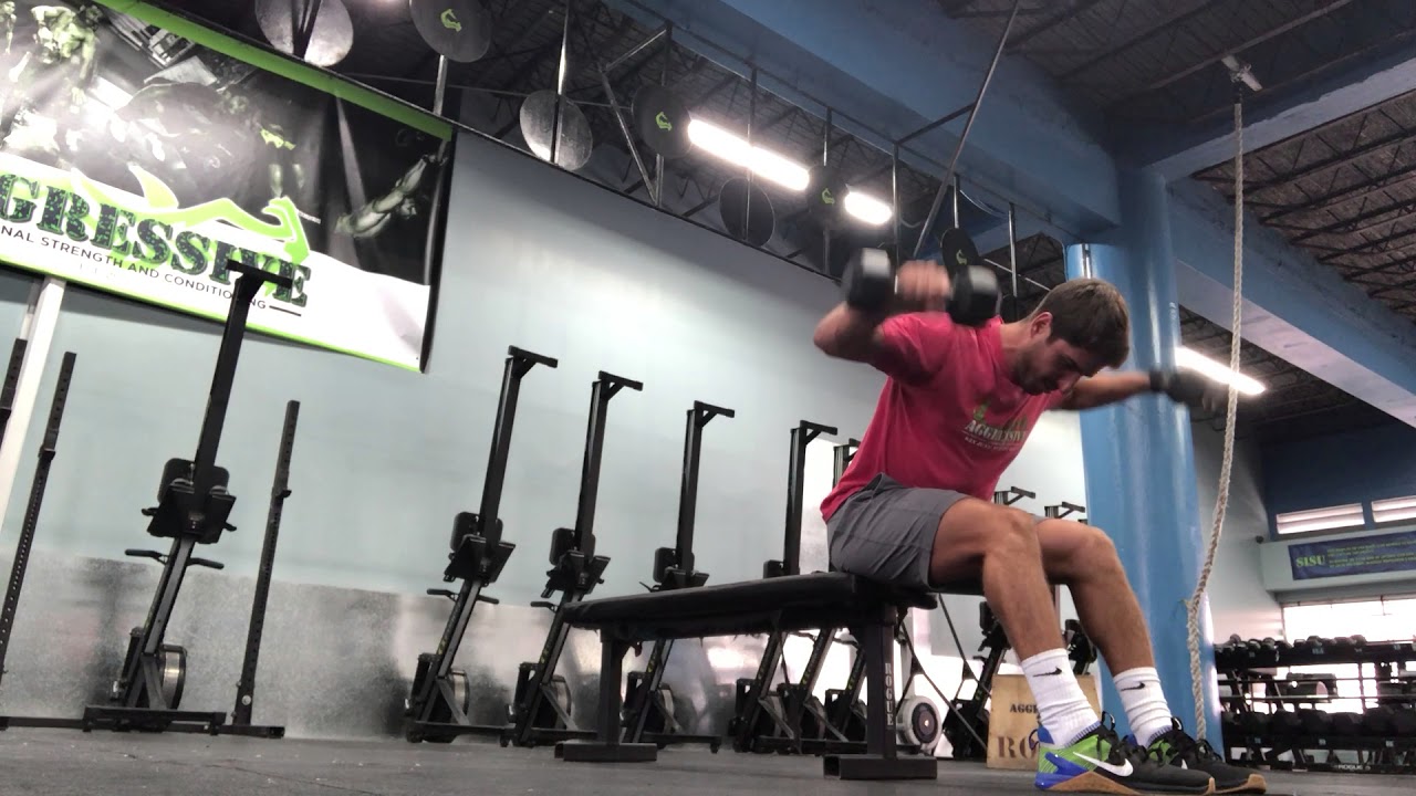 Seated Bent Over Rev DB Fly - YouTube