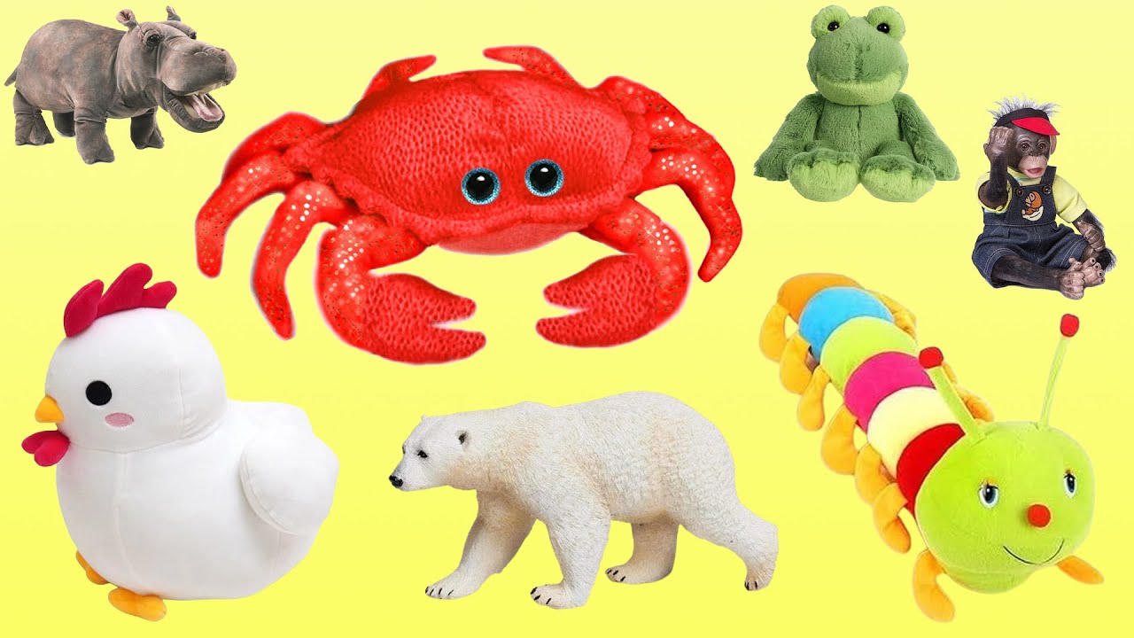 Learn Animal Names | Chimpanzee Frog Crab Hippopotamus Polar Bear ...