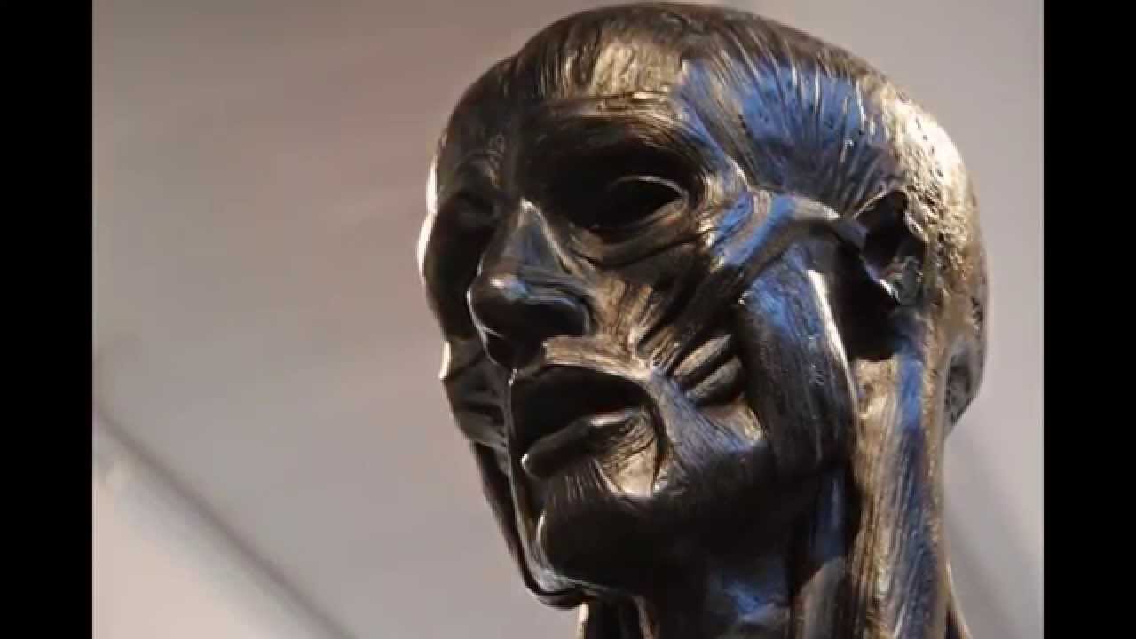 Damien Hirst: Saint Bartholomew, Exquisite Pain - I Just Love That Man ...